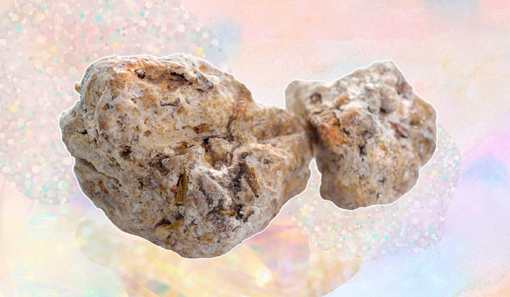 Rare Perfume Scents That Smell SO Luxe & Expensive | Blog | HUDA BEAUTY